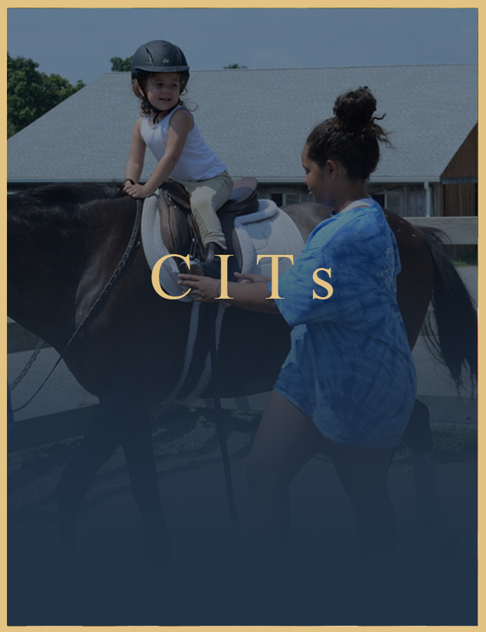 CITs-gallery-img | Thomas School of Horsemanship, Ride School ...
